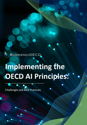 Implementing OECD AI principles: Challenges and Best Practices